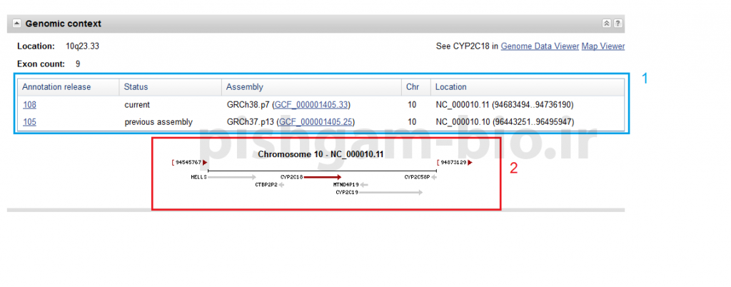 آموزش کار با سایت NCBI بخش GENE: یافتن اطلاعات کامل یک ژن